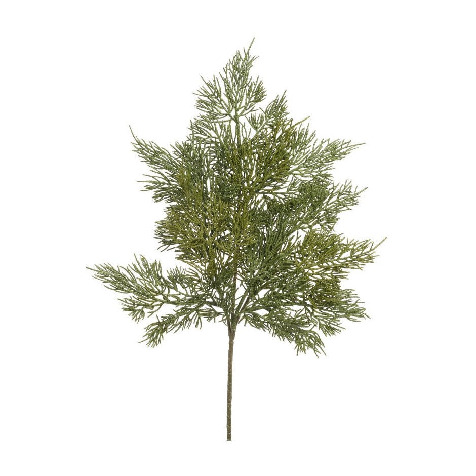 Cedar Spray - 17" | McLellan & Co.