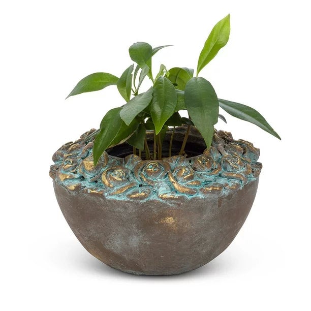 Rose Rim Planter | McLellan & Co.
